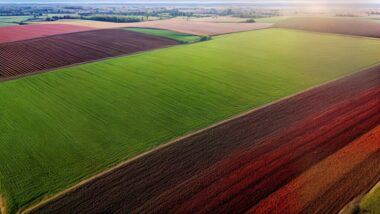 What is Harrow in Agriculture: Uncover the Essentials