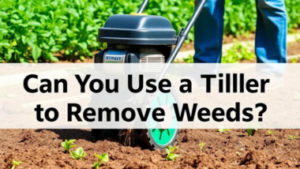 When to Weed and Feed in Fall: A Master Guide to Timing and Techniques ...