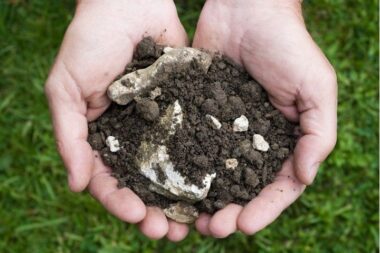 6 Steps to Till Soil by Hand: A Beginner-Friendly Way