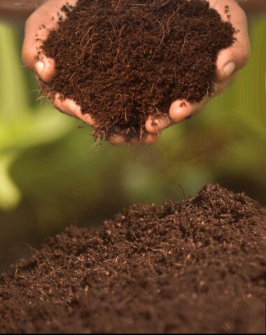6 Steps to Till Soil by Hand: A Beginner-Friendly Way